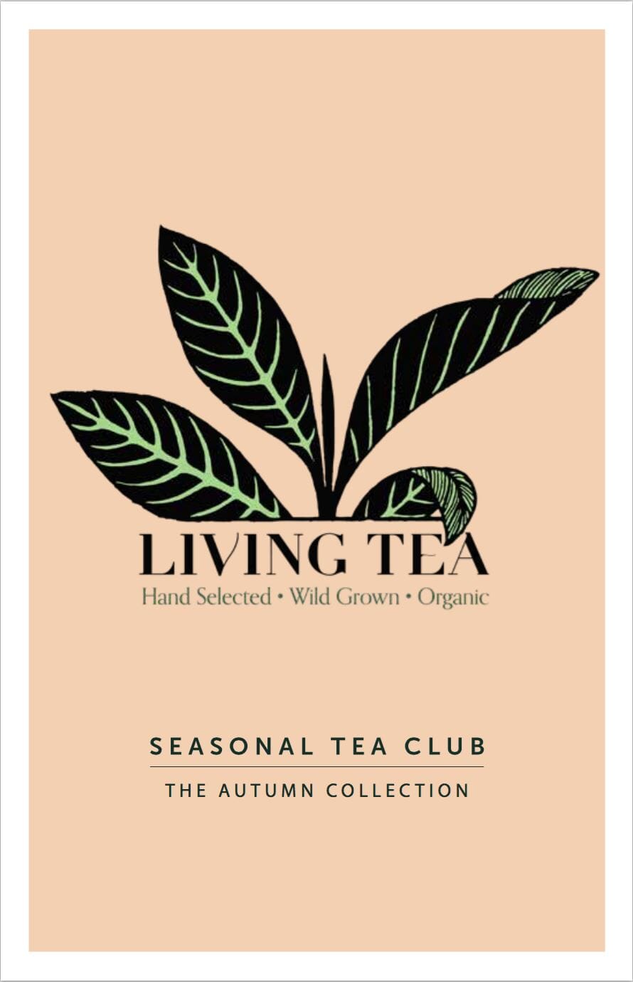 Seasonal Tea Club Spring 2021 – Living Tea