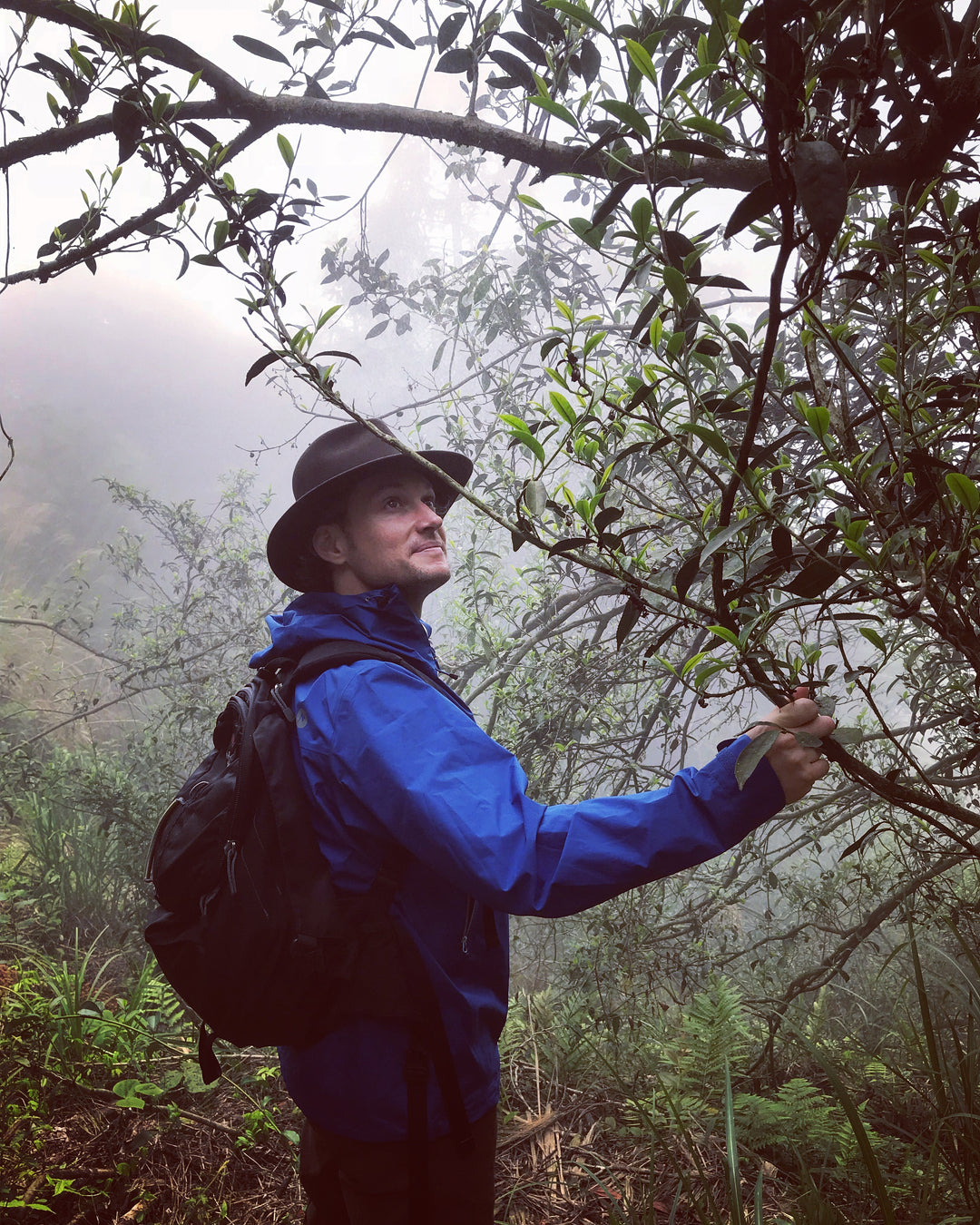 Start a New Healthful, Mindful Morning Routine – Living Tea