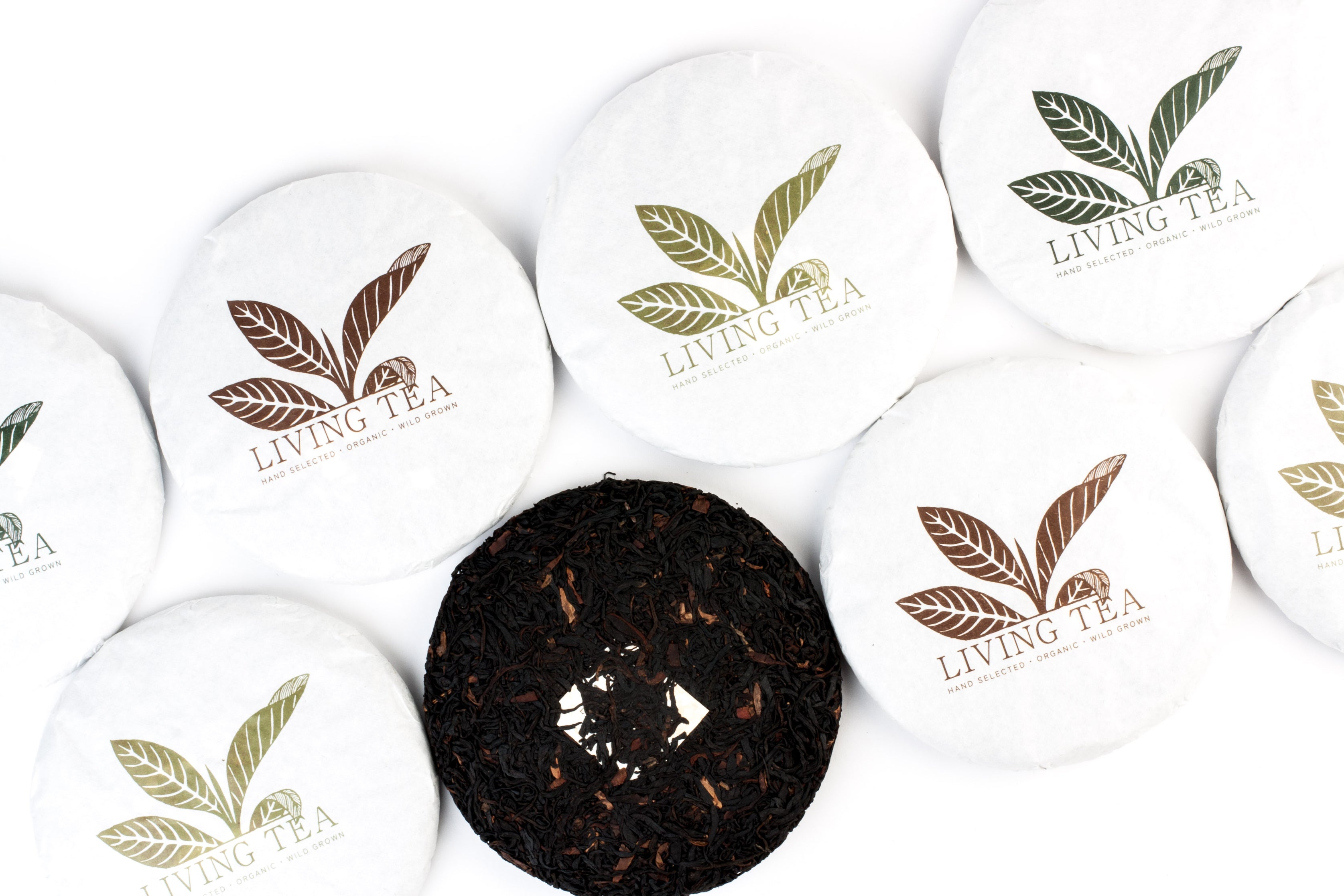 Naturally-Grown Teas for Your Health and Vitality | Living Tea