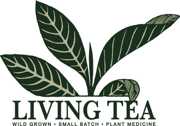 Welcoming the Lunar New Year with Tea Customs – Living Tea