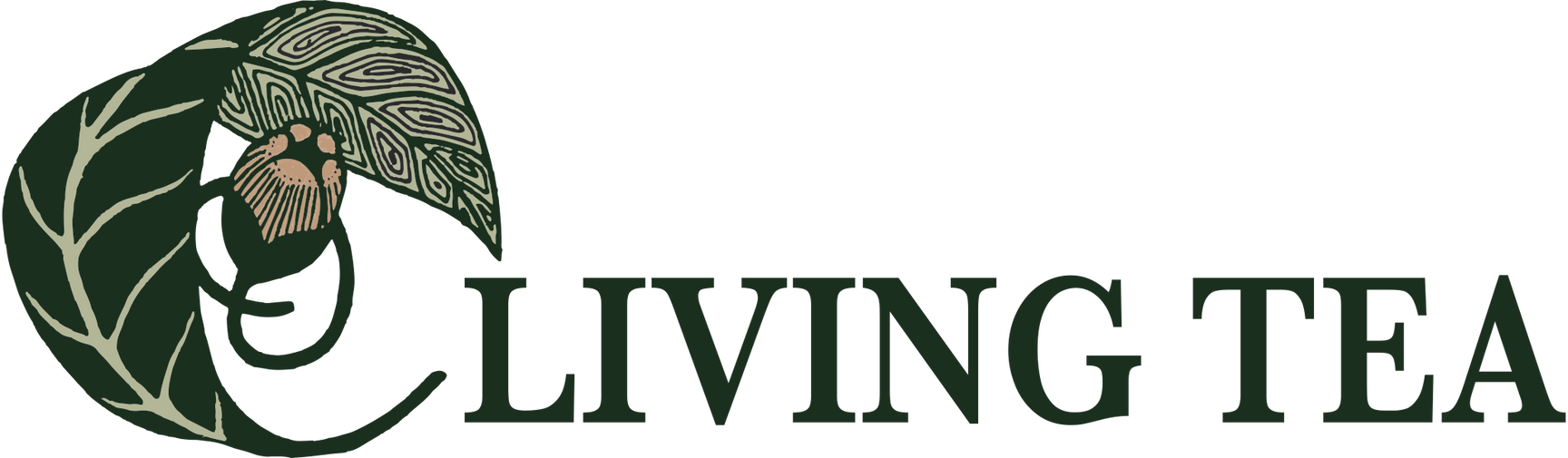 Herbal Tea – Living Tea