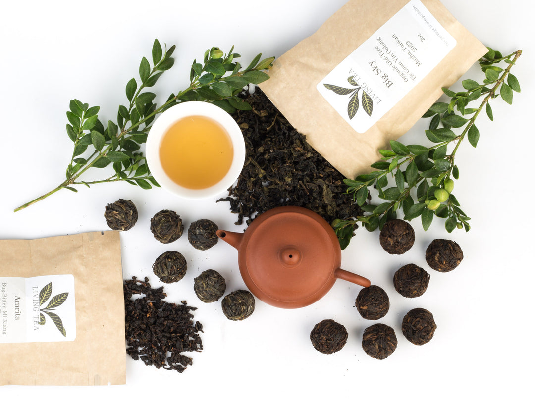 Naturally-Grown Teas for Your Health and Vitality | Living Tea